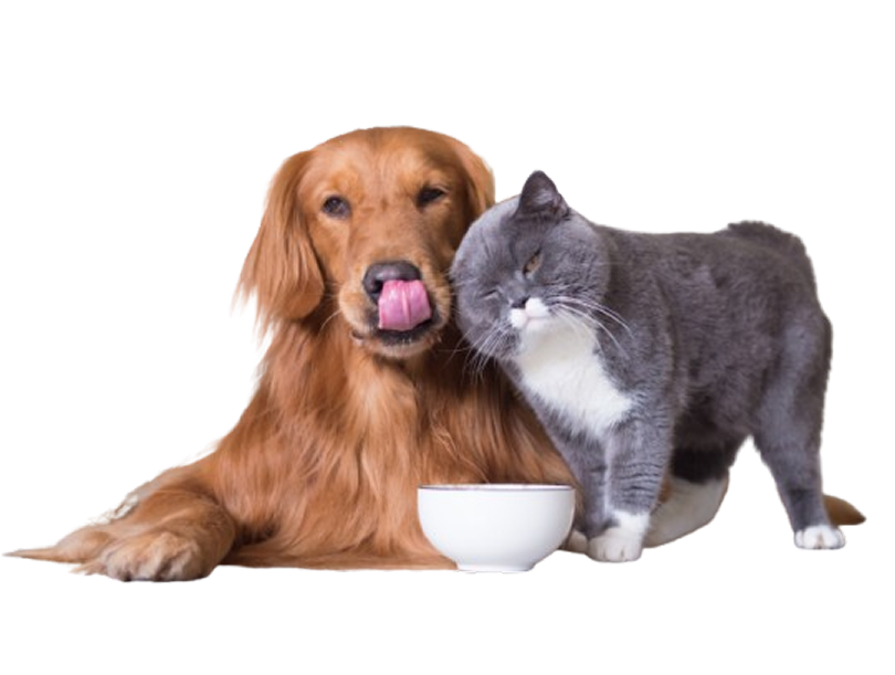 Bavishyavani.in - Bhavishyavani Online Astrology Consultation